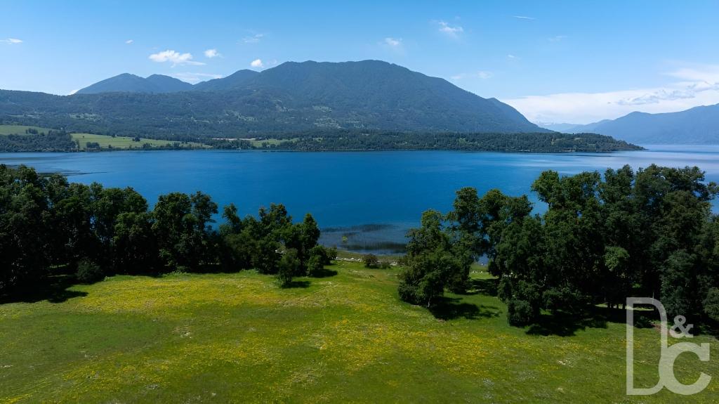 Fundo Refugia Panguipulli - Domínguez & Clark